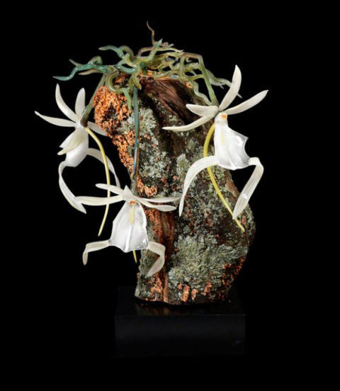 Букеты И Цветы от мастера-художника по стеклу Hans Hodo Frabel