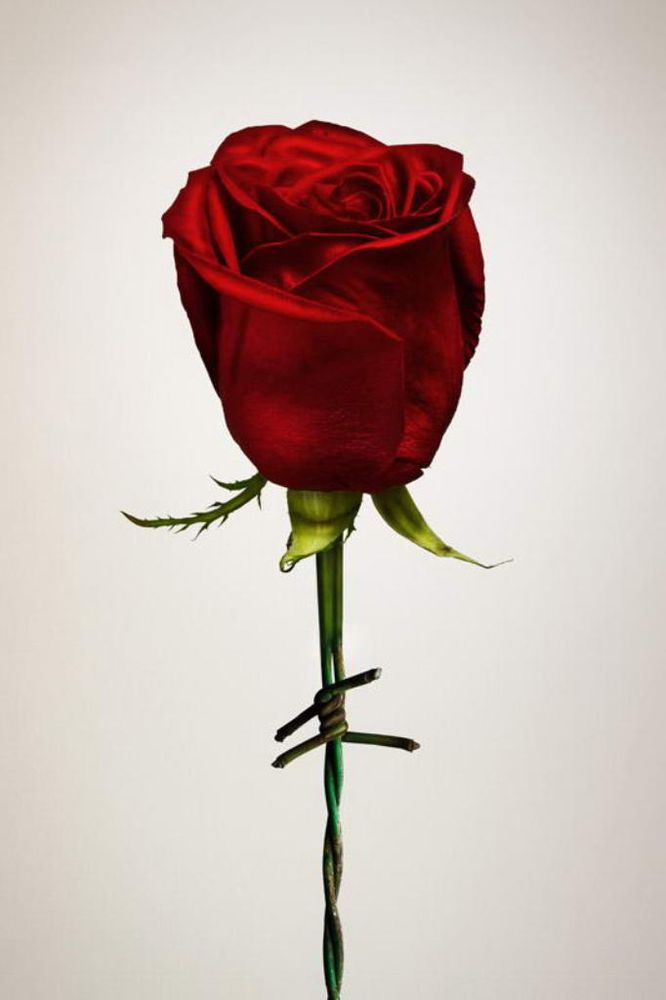 Невероятные иллюзии итальянского фотохудожника Giuseppe Colarusso