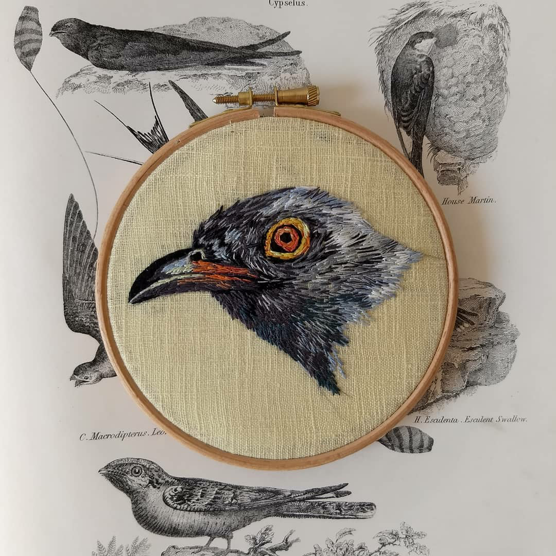 Занимательная анатомия, или Вышивка не для слабонервных от Julie ...