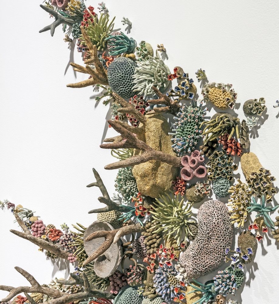 Море внутри: фарфоровые рифы художницы Courtney Mattison