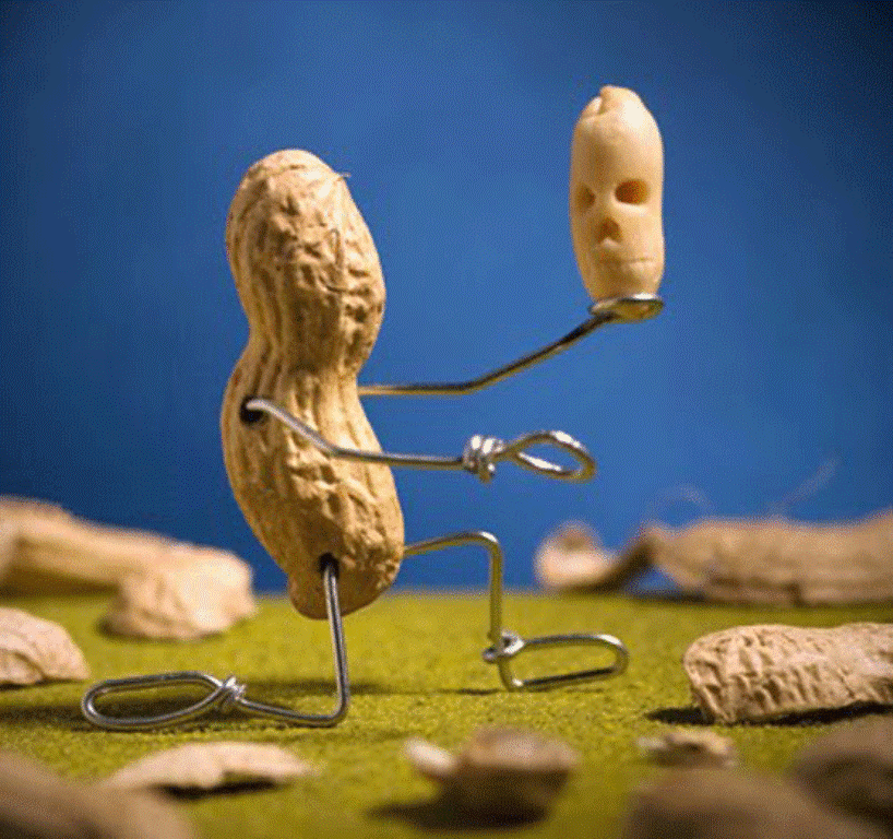 Ожившие предметы Terry Border