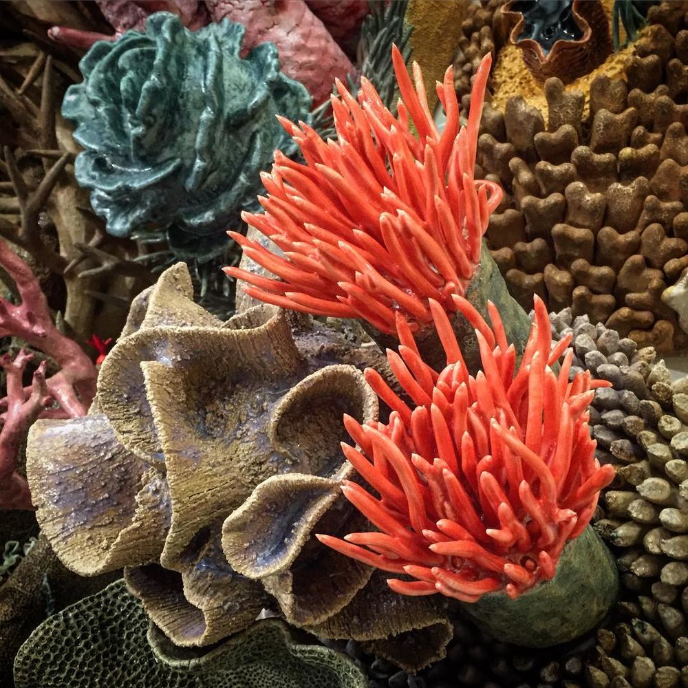 Море внутри: фарфоровые рифы художницы Courtney Mattison