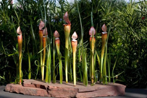 Букеты И Цветы от мастера-художника по стеклу Hans Hodo Frabel ...